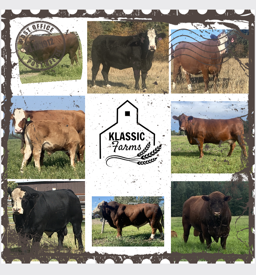 North Central Livestock Exchange
